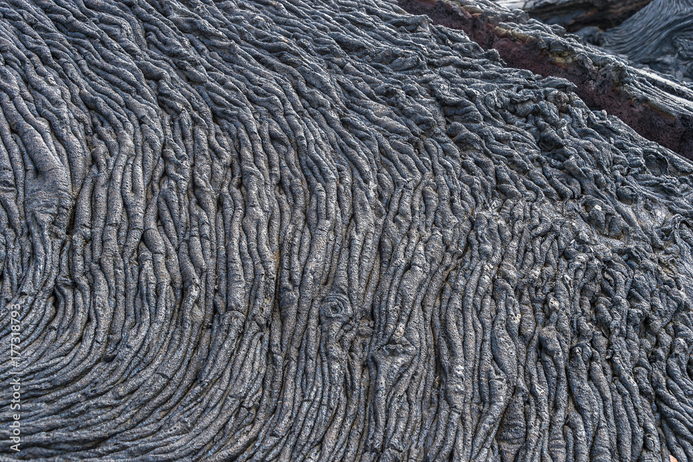 Pahoehoe or rope lava, on Rabida Island, Galapagos. It is formed of ...