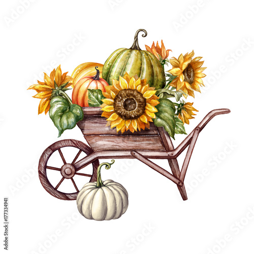 watercolor pumpkins in the wheelbarrow, sunflowers, Thanksgiving, farm ...