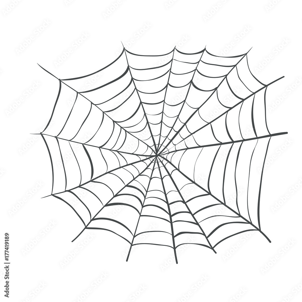 spiderweb, Web Spider Vector Illustration. Webbing weaving Stock Vector ...