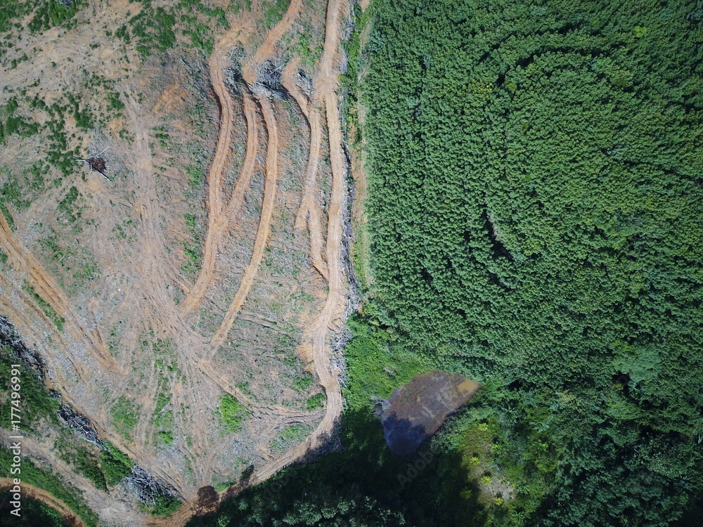 Deforestation. Aerial photo of logging in Thailand. Rainforest ...