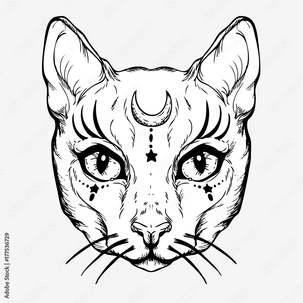 Pagan magical white cat with the symbol of the moon. Gothic graphics ...