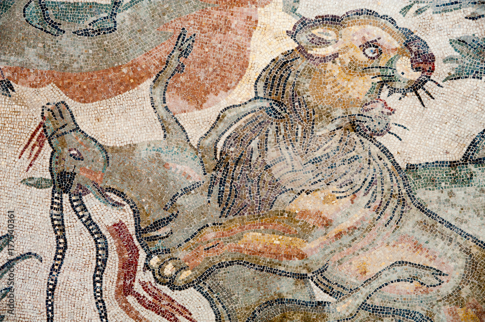 Old roman mosaics: view of figures and motifs in the floor of the old ...