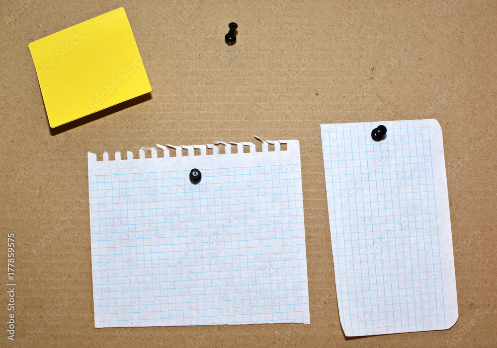 pinned cork message Bulletin Board with a clean sheet of paper for ...