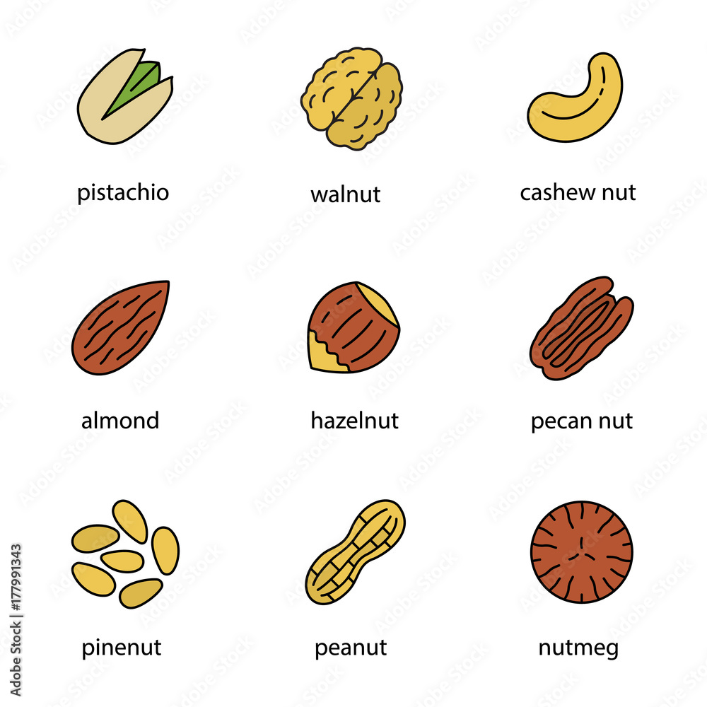 Nuts types color icons set Stock Vector | Adobe Stock