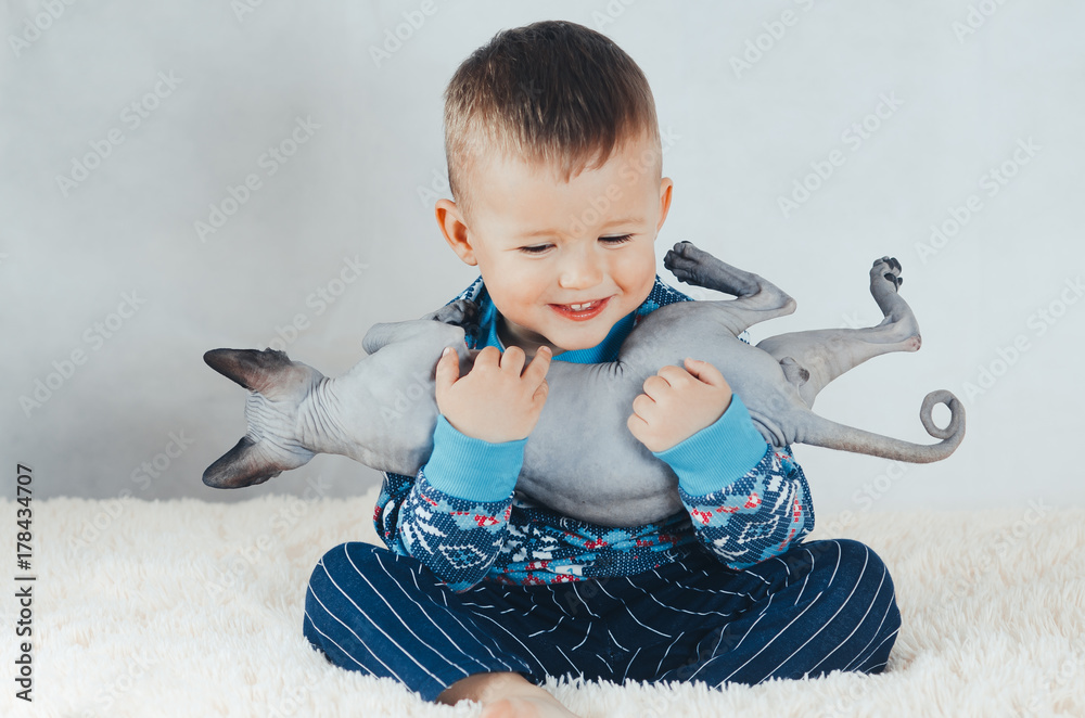 Small, cute boy with a cat canadian Sphinx Stock Photo | Adobe Stock