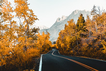 Fall Landscape Free Stock Photo - Public Domain Pictures