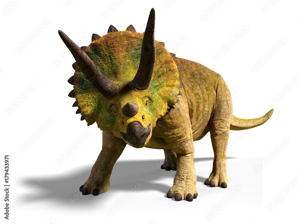 Triceratops horridus of the late Cretaceous period between 66 and 68 ...