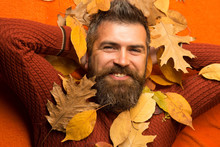 Autumn Man Free Stock Photo - Public Domain Pictures