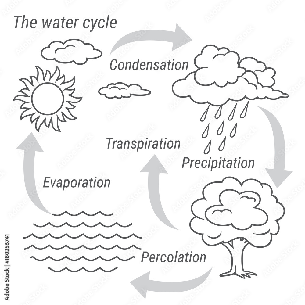Water Cycle Black and white. Vector schematic representation of the ...