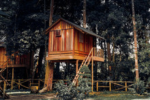 Tree House Free Stock Photo - Public Domain Pictures