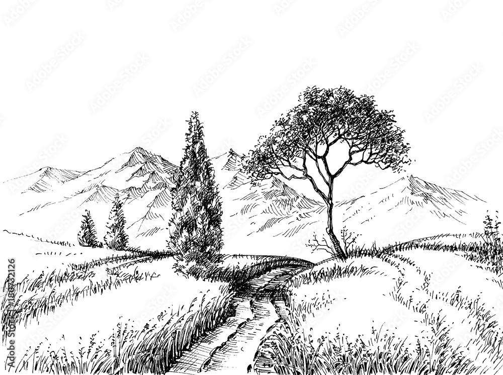 Field landscape pencil drawing. A trail to the mountains hand drawn ...