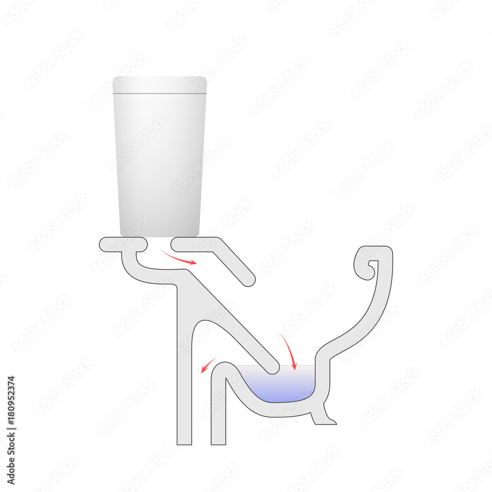 Toilet cutaway blueprint. Stock Vector | Adobe Stock