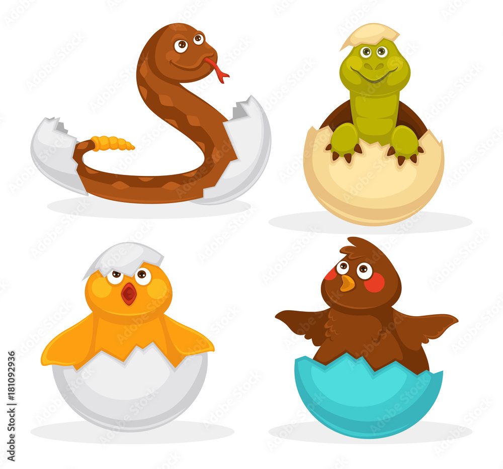 Baby animals hatch eggs or cartoon pets hatching. Vector flat isolated ...