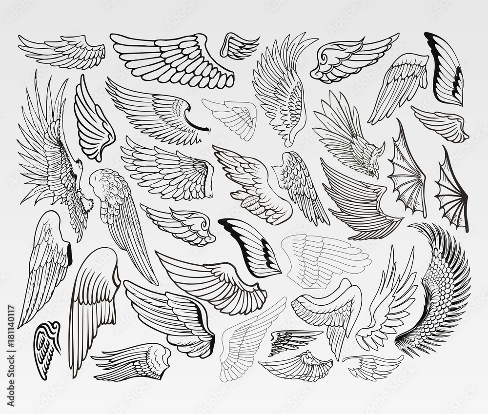Wings of Birds Stock Vector | Adobe Stock