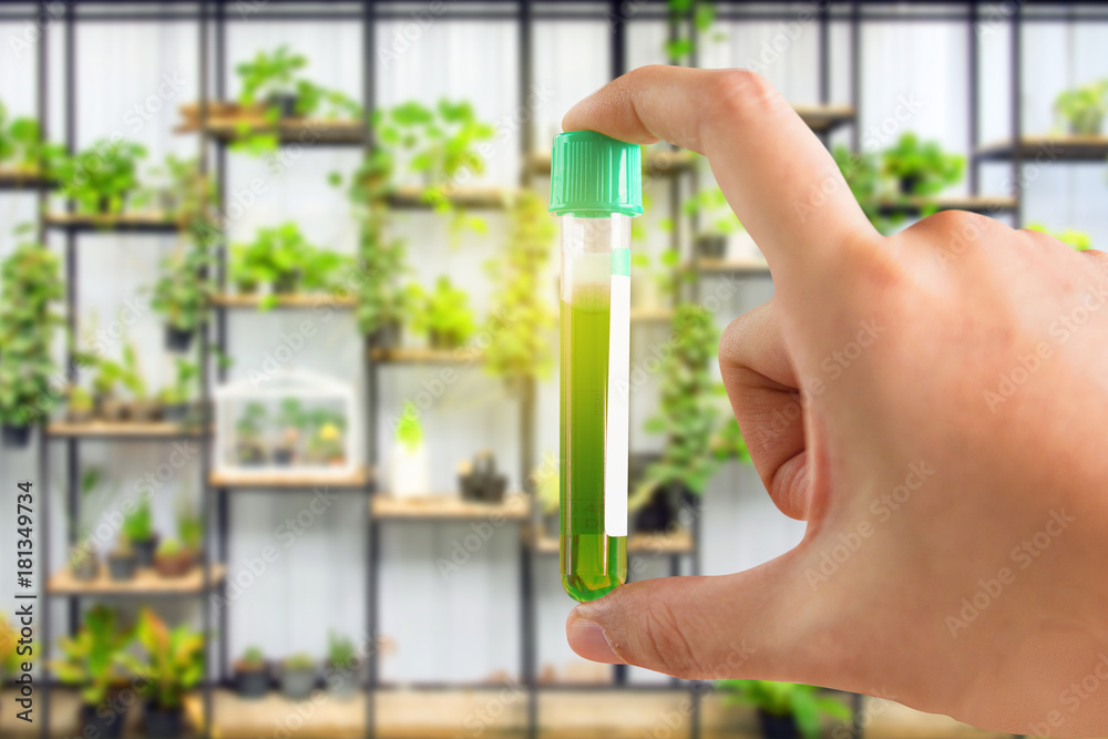 research herbal medicine at lab , test pharmaceutical with Shaker plant ...