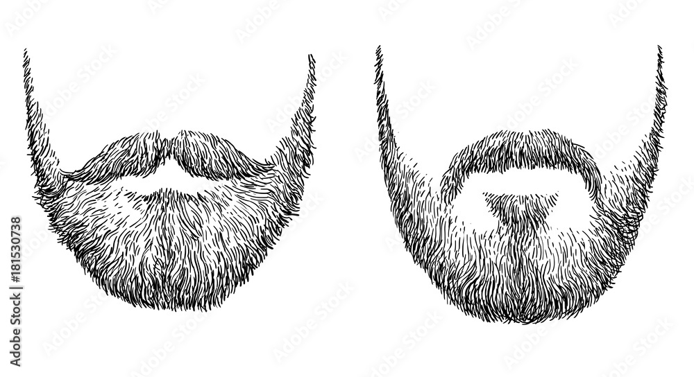 Beard illustration, drawing, engraving, ink, line art, vector Stock ...