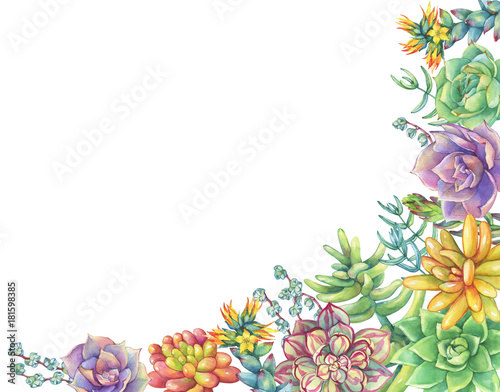 Border with leaves, succulent. Succulents collection. Watercolor hand ...