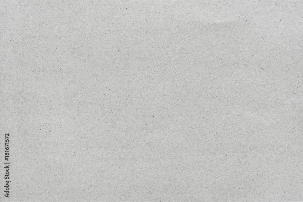 Paper Fiber Texture