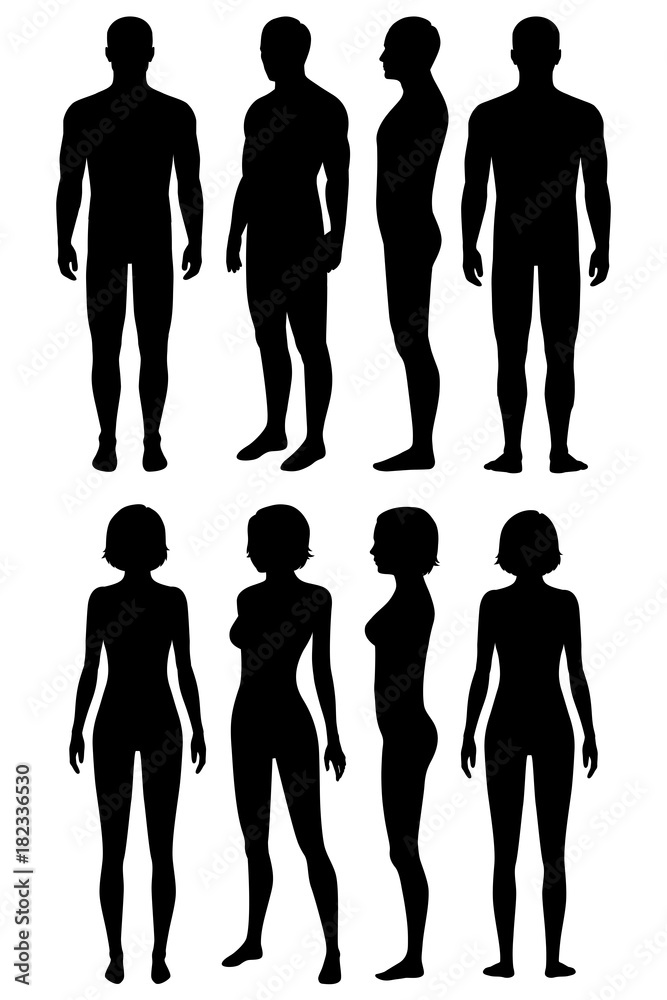 human body anatomy, front, back, side view, vector woman and man ...