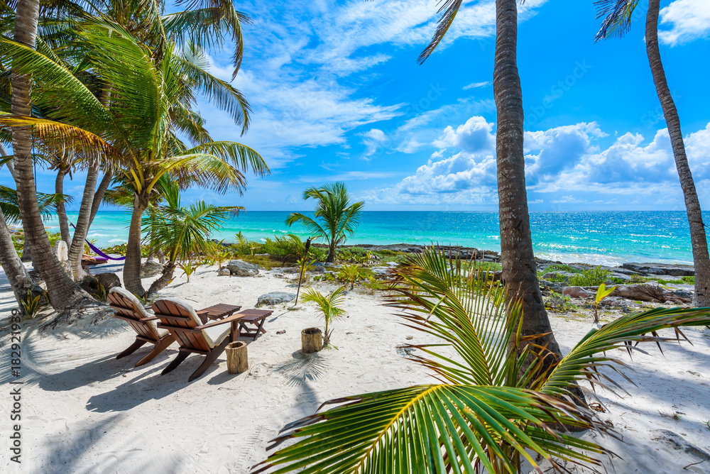 Chairs under the palm trees on paradise beach at tropical Resort ...