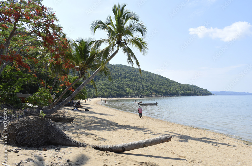 Madagascar. Riserva naturale di Lokobe a Nosy Be Stock Photo | Adobe Stock