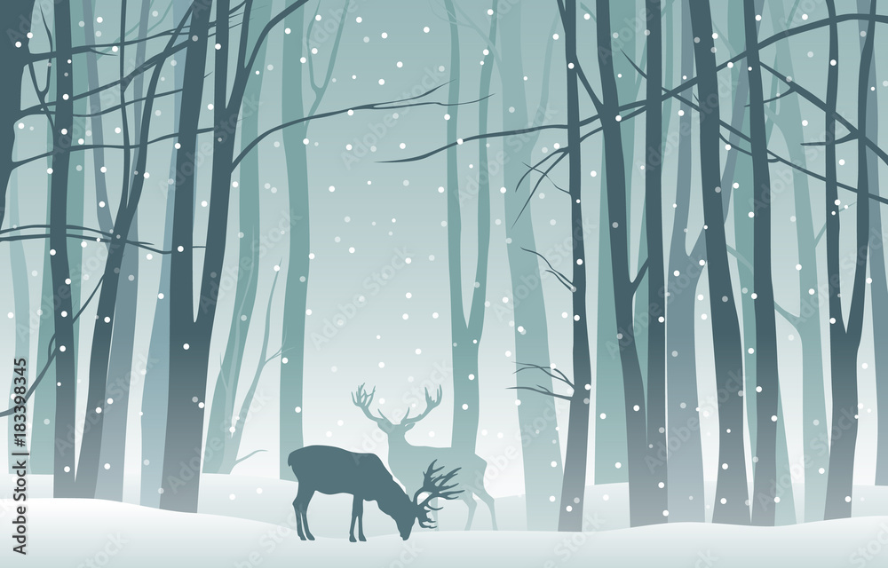 winter forest vector