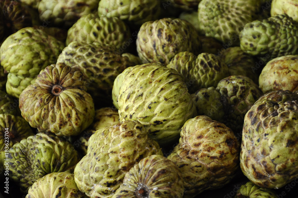 Annona squamosa fruit or Malay called buah nona. Also known as custard ...
