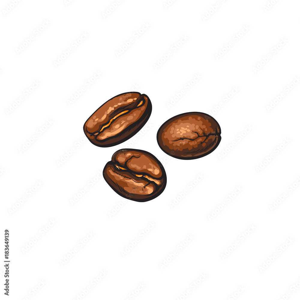 How To Draw Coffee Beans