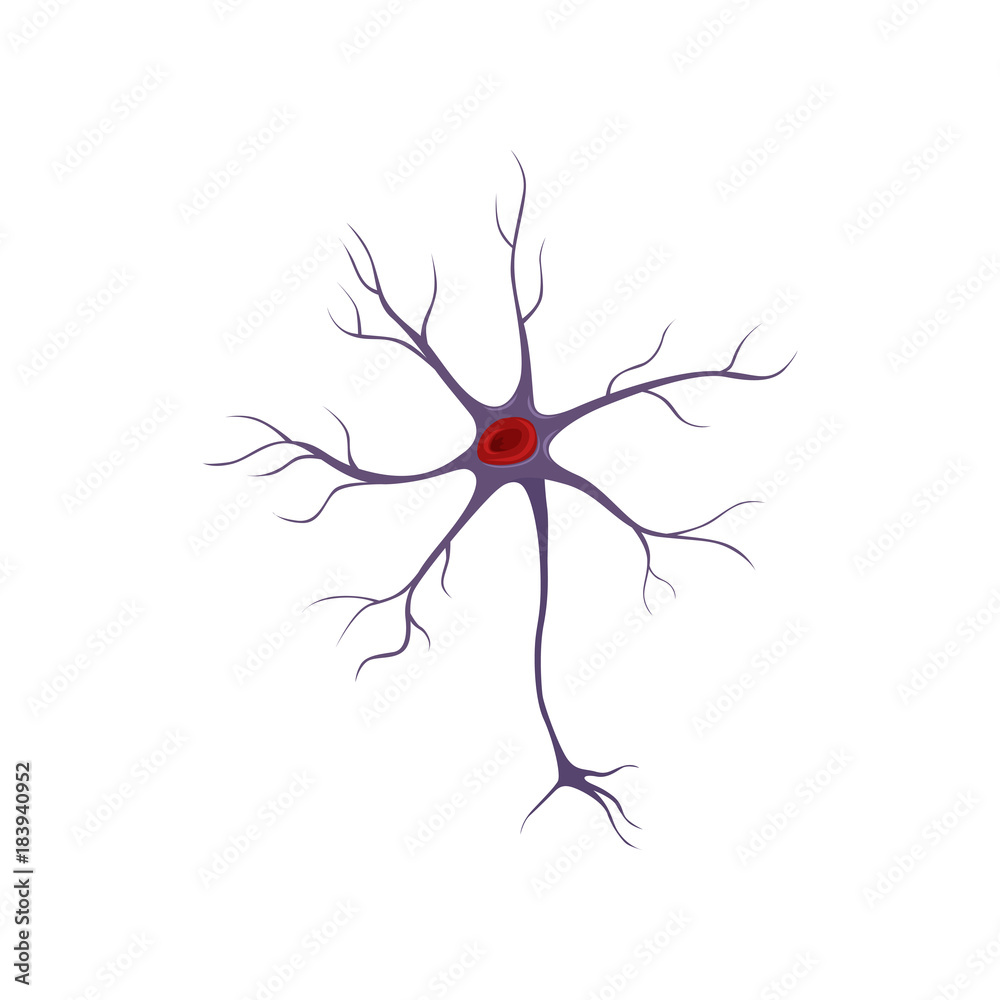 Structure of neuron, nerve cell. Anatomy and science concept. Icon in ...