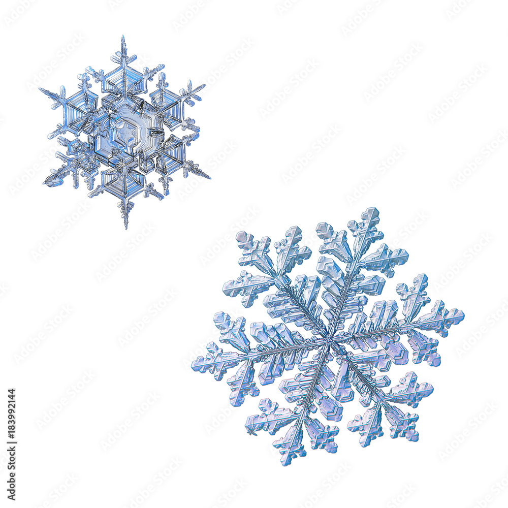 Two snowflakes isolated on white background. Macro photo of real snow ...