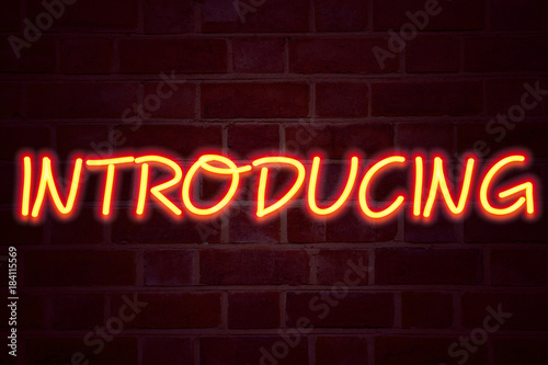Introducing neon sign on brick wall background. Fluorescent Neon tube ...