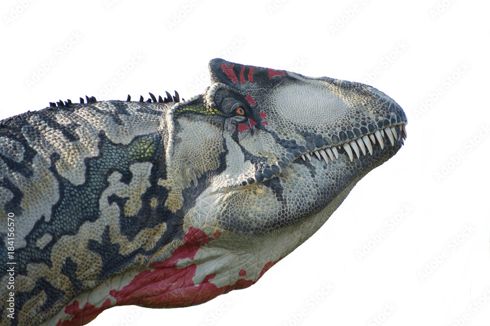 Allosaurus isolated on white background Stock Photo | Adobe Stock