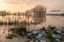 Marsh Cattails Fence Free Stock Photo - Public Domain Pictures