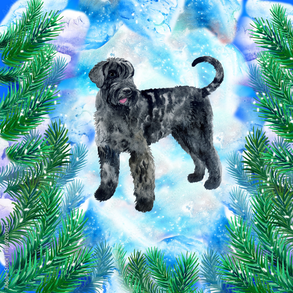 Schnauzer giant symbol of New Year and Christmas greeting card design ...