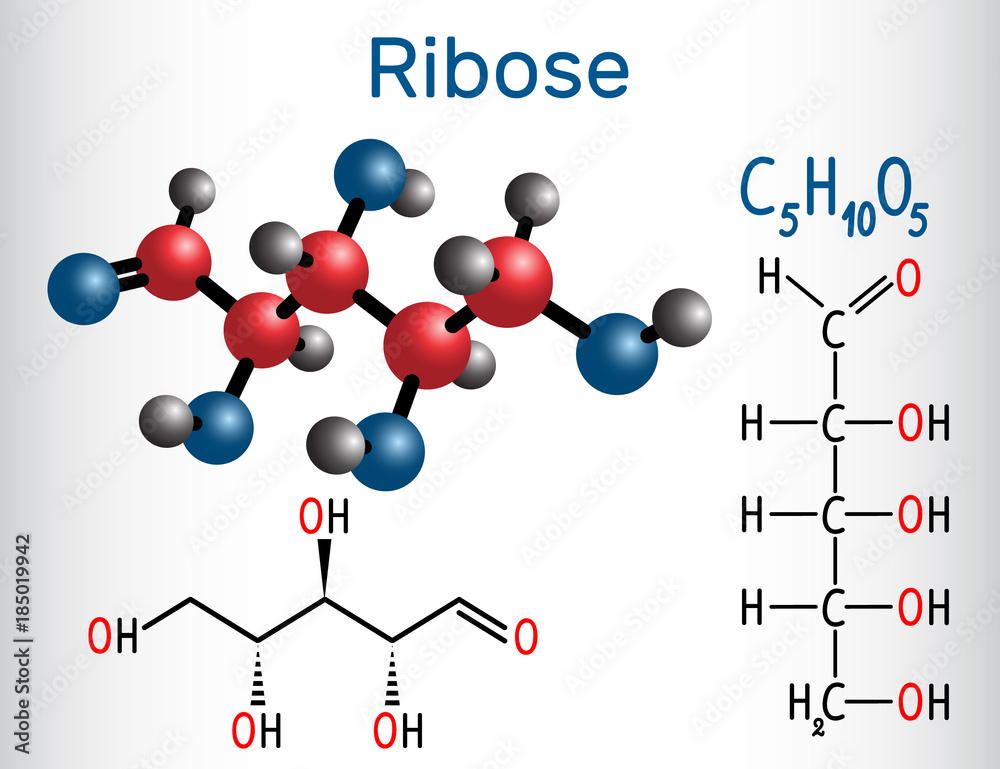 ribose sugar structure formula