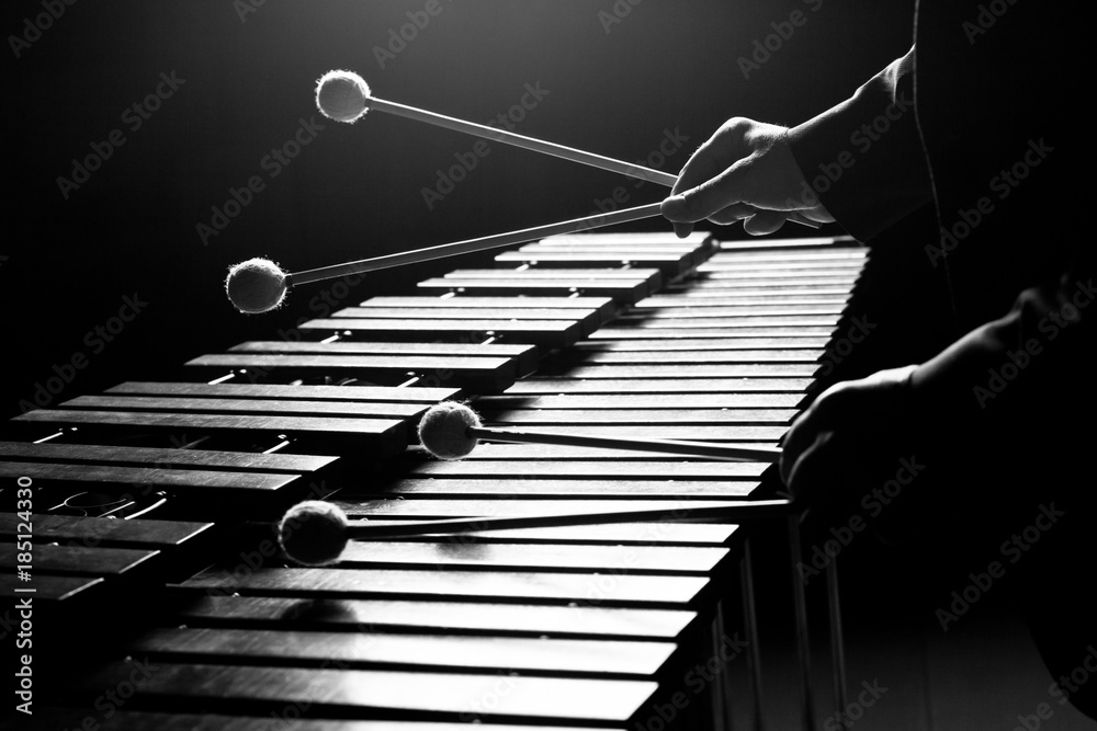 The hands of a musician playing the marimba in black and white tones ...