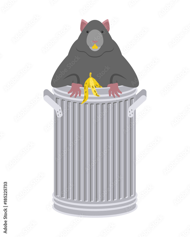Rat in garbage can. Rodent in trash. big mouse in Dumpster. Vector ...