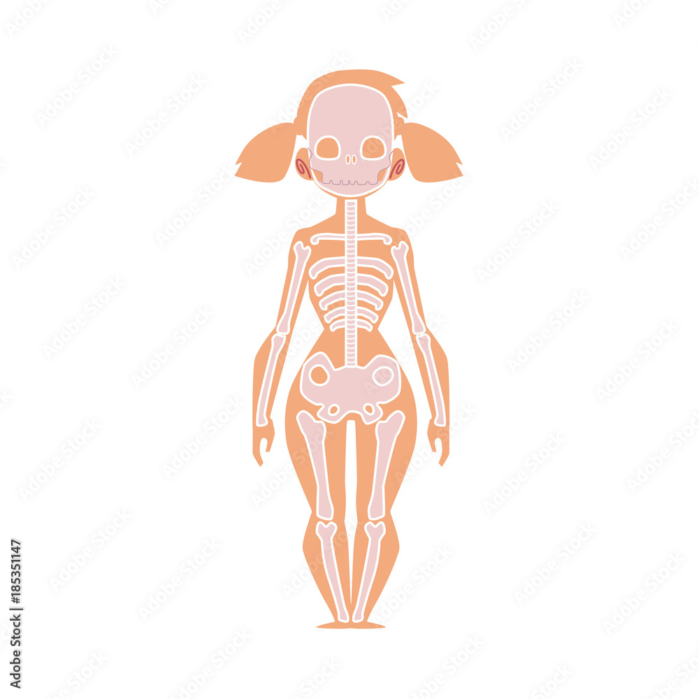 Cartoon Human Bones