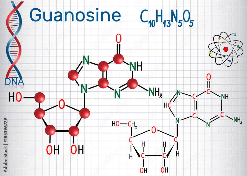Guanosine - purine nucleoside molecule, is important part of GMP, GDP ...