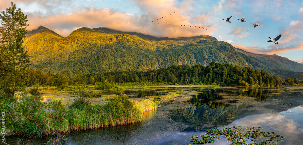 Cheam Lake Wetlands Regional Park, Rosedale, British Columbia, Canada ...