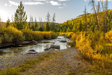 Autumn Creek Free Stock Photo - Public Domain Pictures