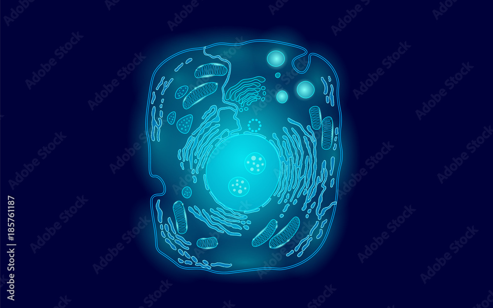Animal human cell structure educational science. Microscope 3d ...
