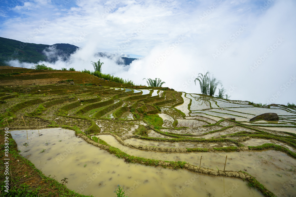 Terraced rice field in water season, the time before starting grow rice ...