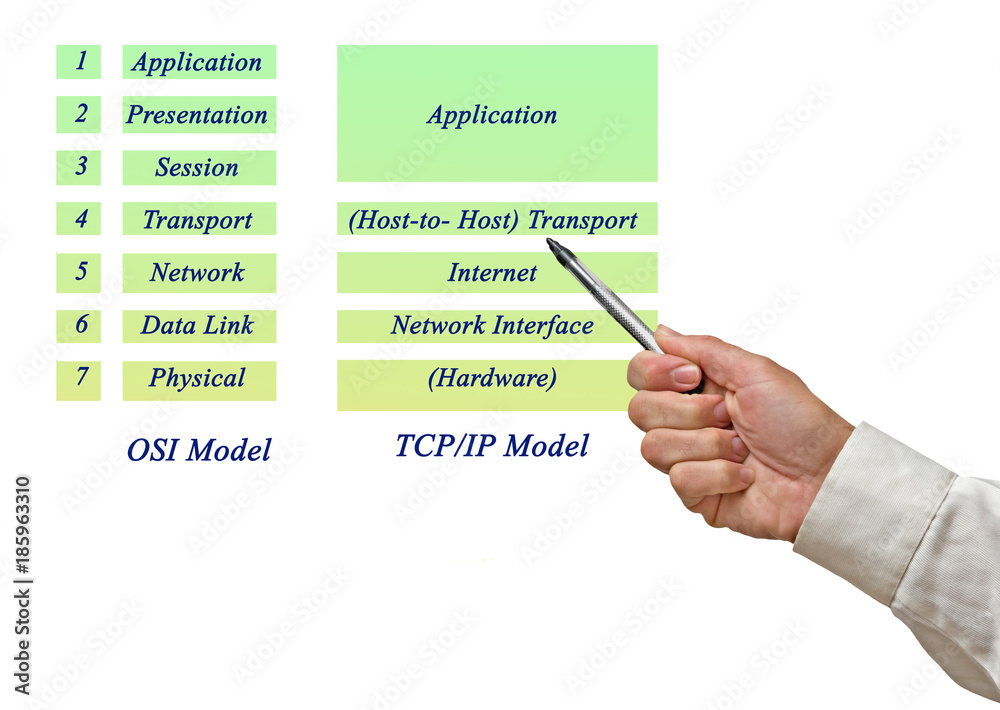 Foto OSI Reference Model and TCP/IP Model Layers do Stock | Adobe Stock