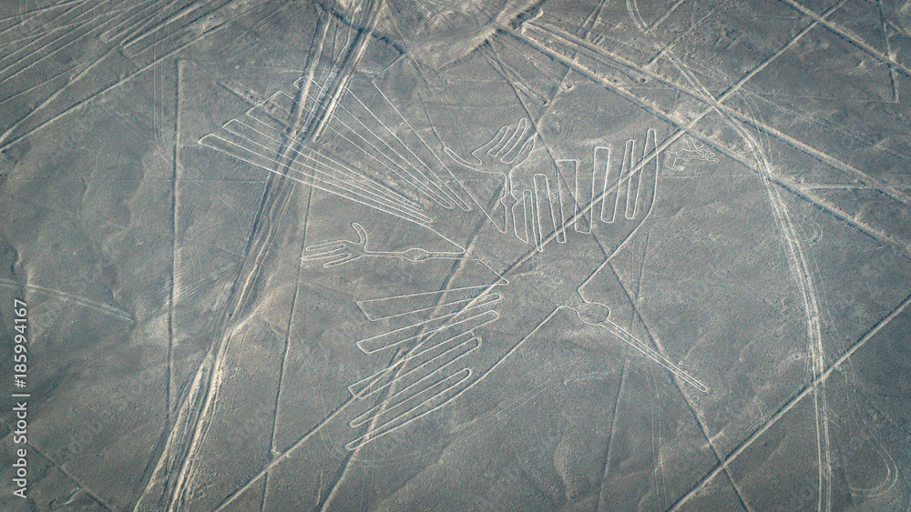 Condor as seen in the Nasca Lines, Nazca, Peru Stock Photo | Adobe Stock