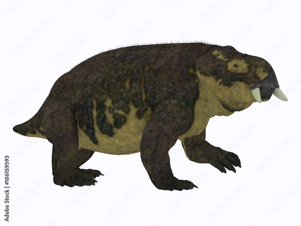 Ilustración de Stock Placerias Dinosaur Side Profile - Placerias was a ...