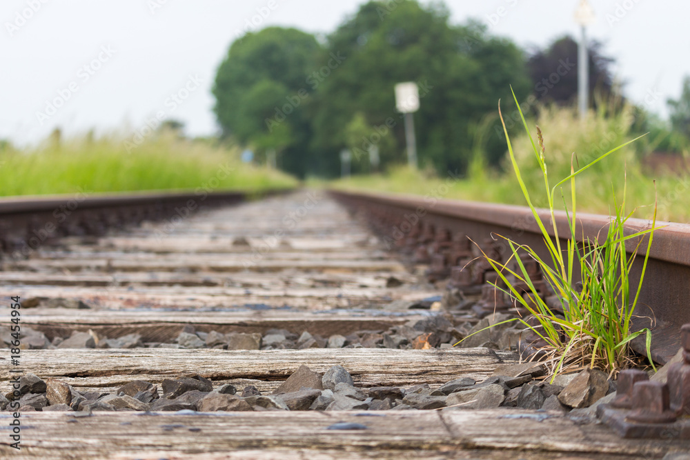 old railway sleepers on an unused railroad track with a single grass ...