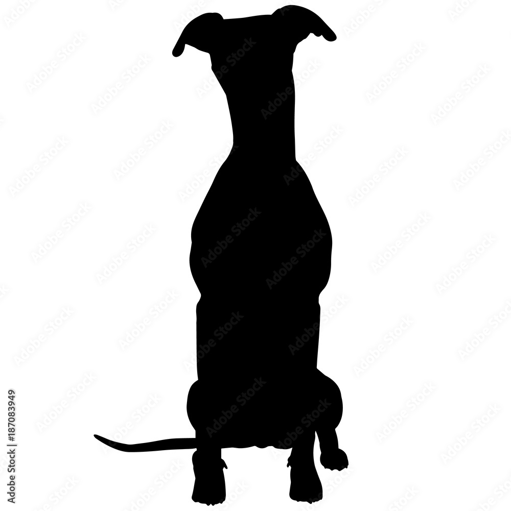 Whippet Silhouette Vector Graphics Stock Vector | Adobe Stock
