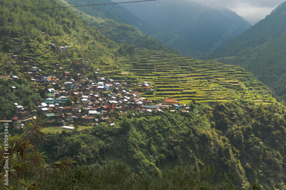 Stepped Of Rice Terraces In Benguet, Ifugao. Stock Photo | Adobe Stock