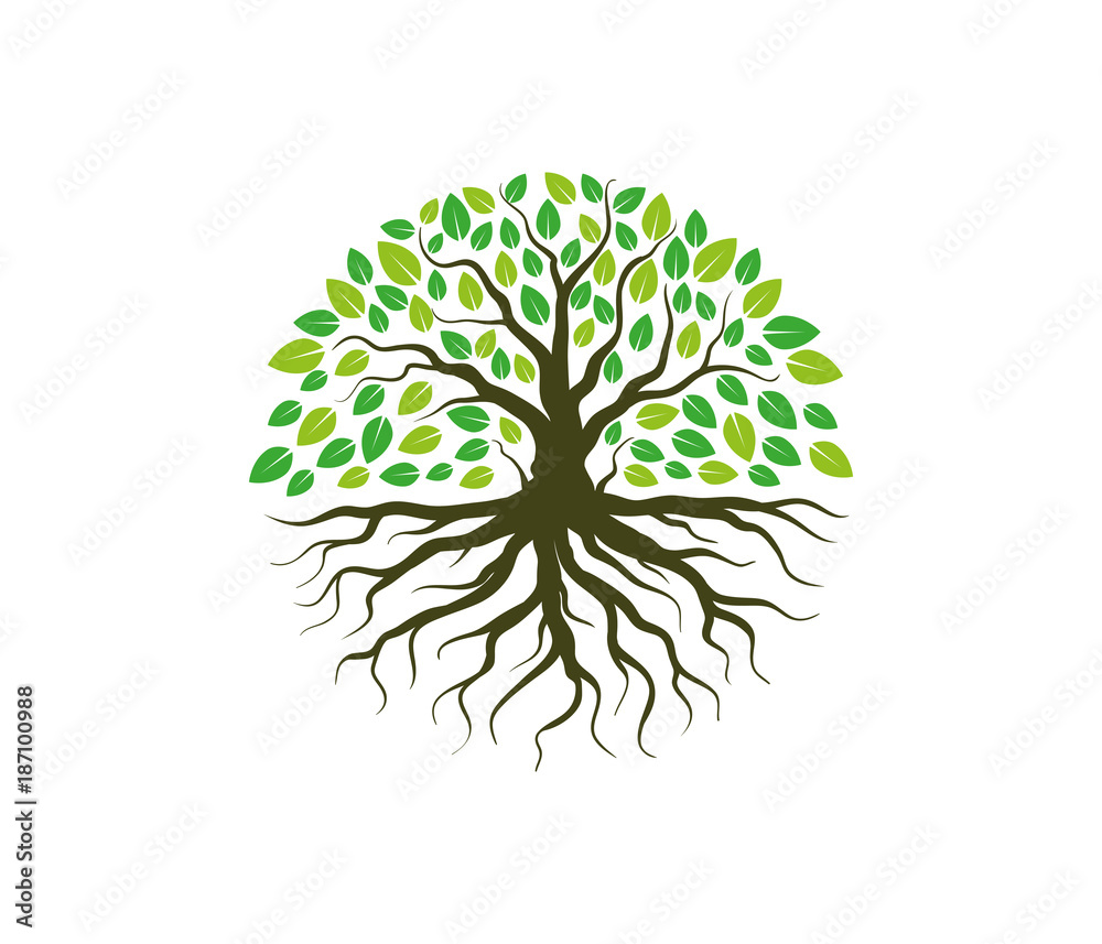 green forestry strong root tree logo Stock Vector | Adobe Stock